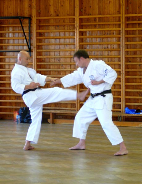About – Shikukai Karate-Do International