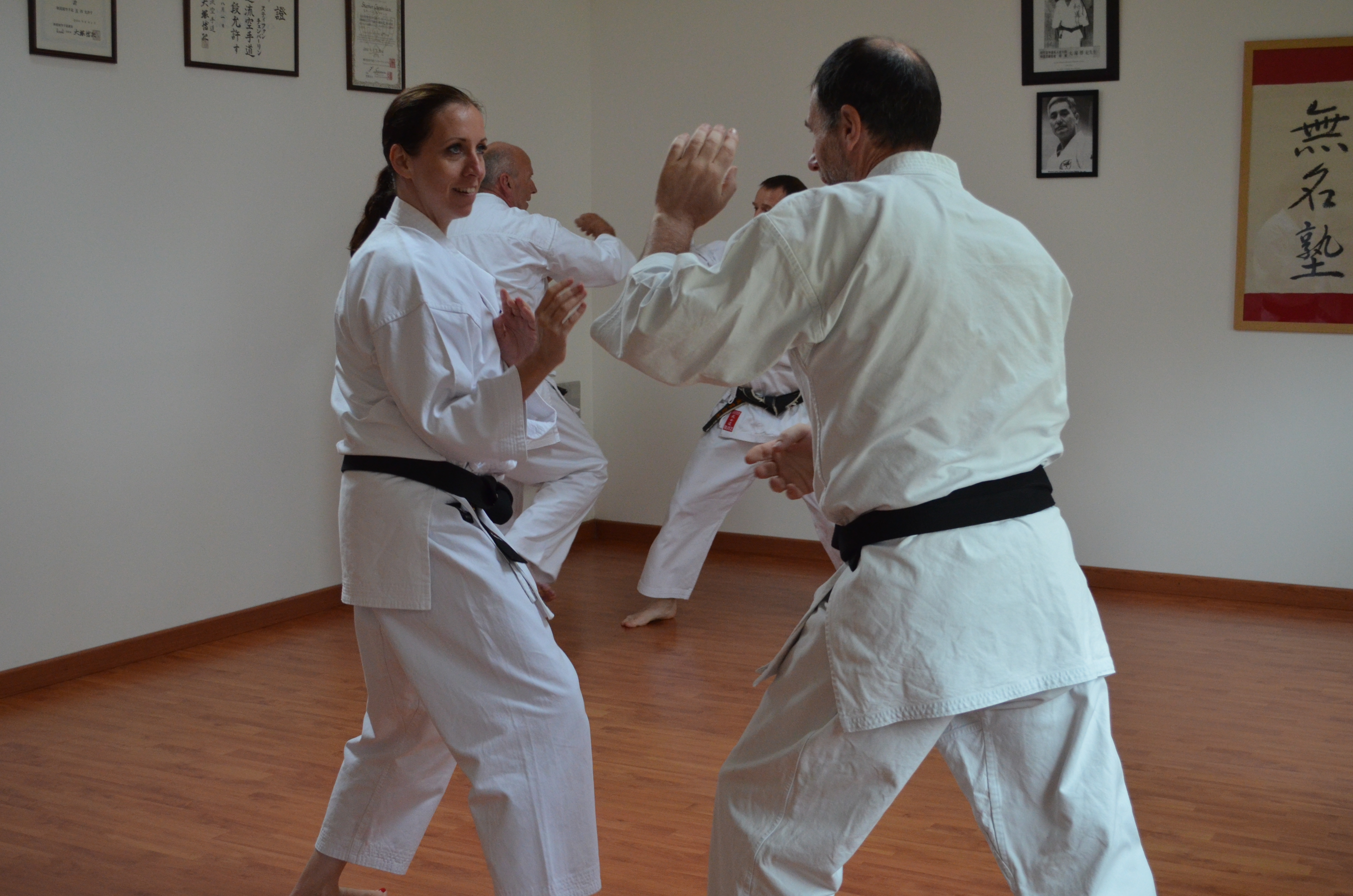 1 – Shikukai Karate-Do International