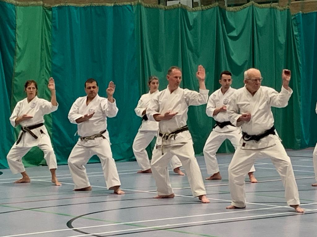 Report – Robin Eaton’s 80th Birthday Training Theme: Wado Through Time ...